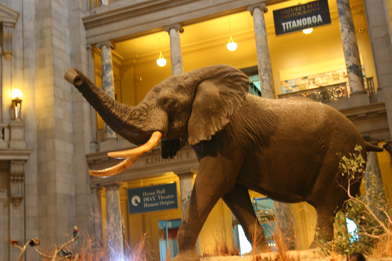 Oh Boy!: Trip to Washington, D.C. - Day 2