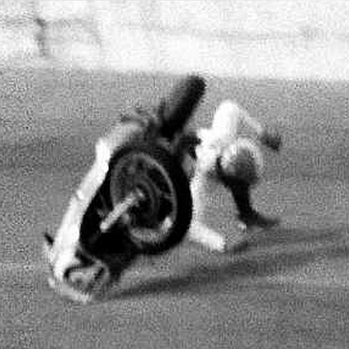 Cling on for dear life !!!: Death Of A CR750 - The Ralph Bryan Crash