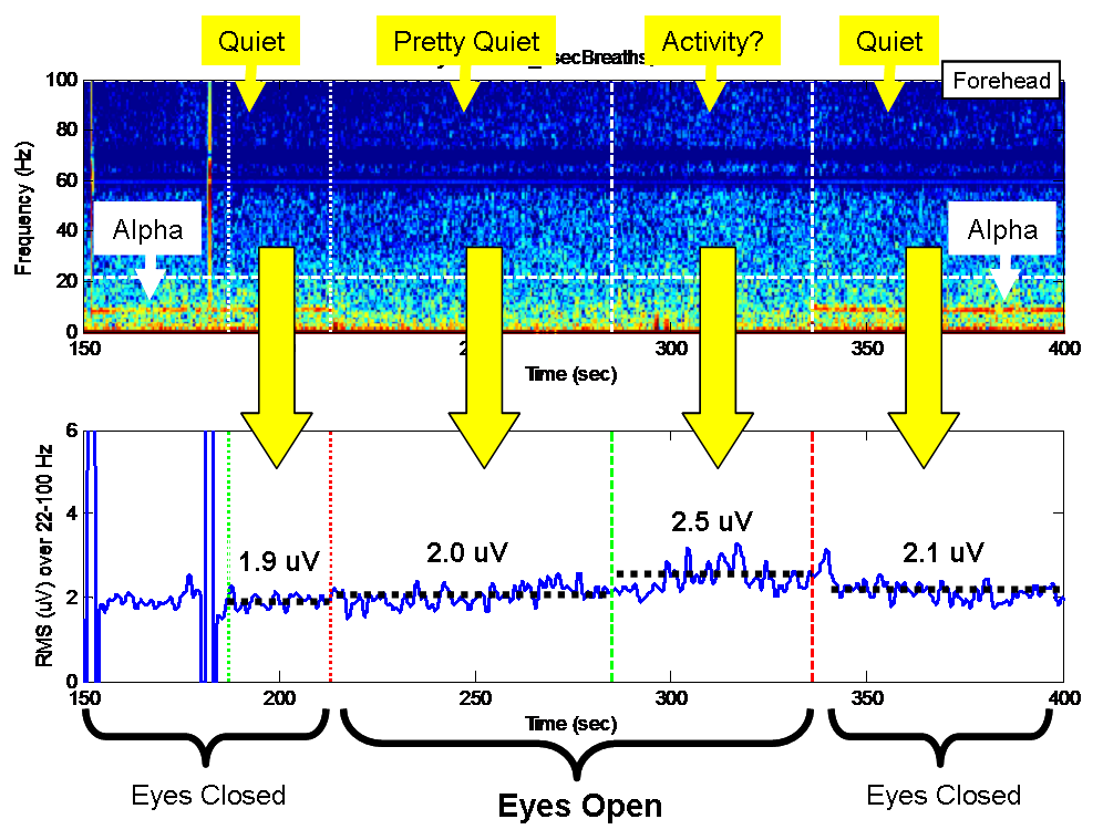 EEG Hacker: Detecting Concentration