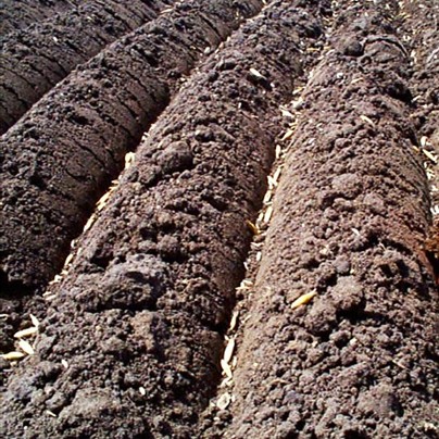 indonesia: Jenis Tanah Dan Pemanfaatannya.