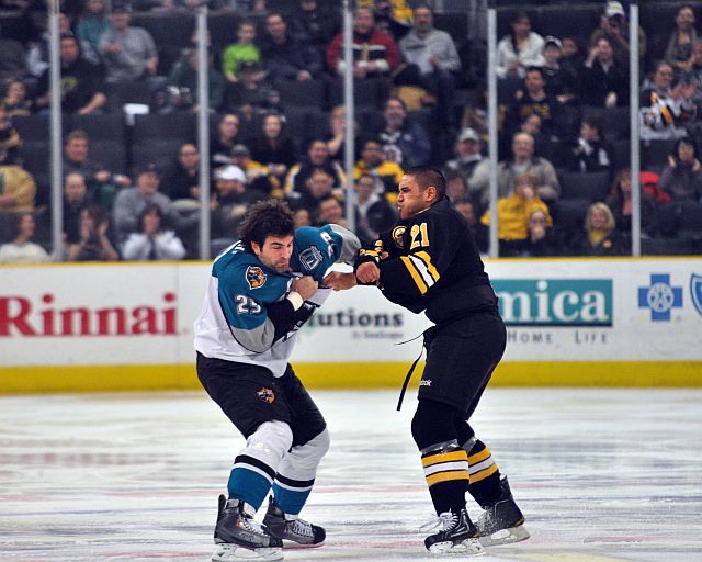 Providence Bruins Insider: Bobby Robins Re-Signs With Providence