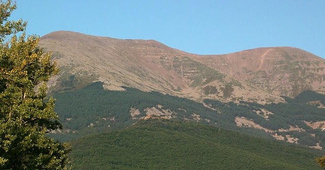 ¡QUÉ BIEN NOS LOS PASAMOS EN EL MONCAYO! ~ MAIN Zaragoza