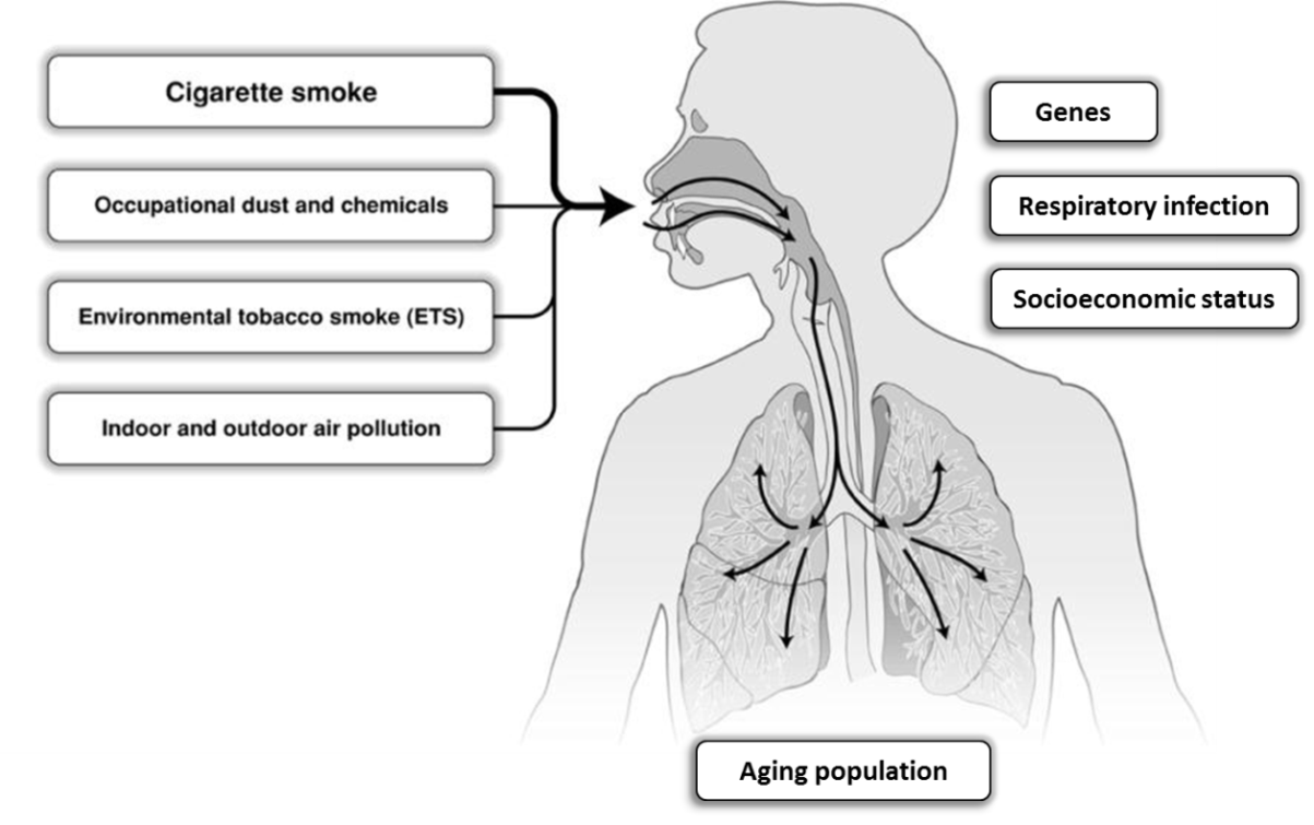 Chronic Obstructive Pulmonary Disease Copd Dr Younis Khan