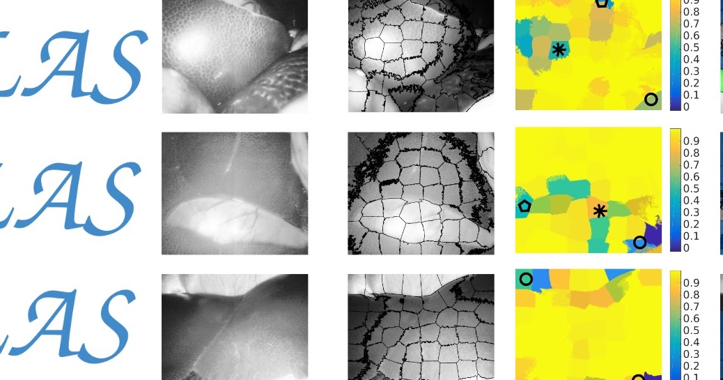 More on the ATLAS project