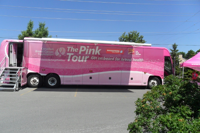 Robyn's Nest: The Pink Bus