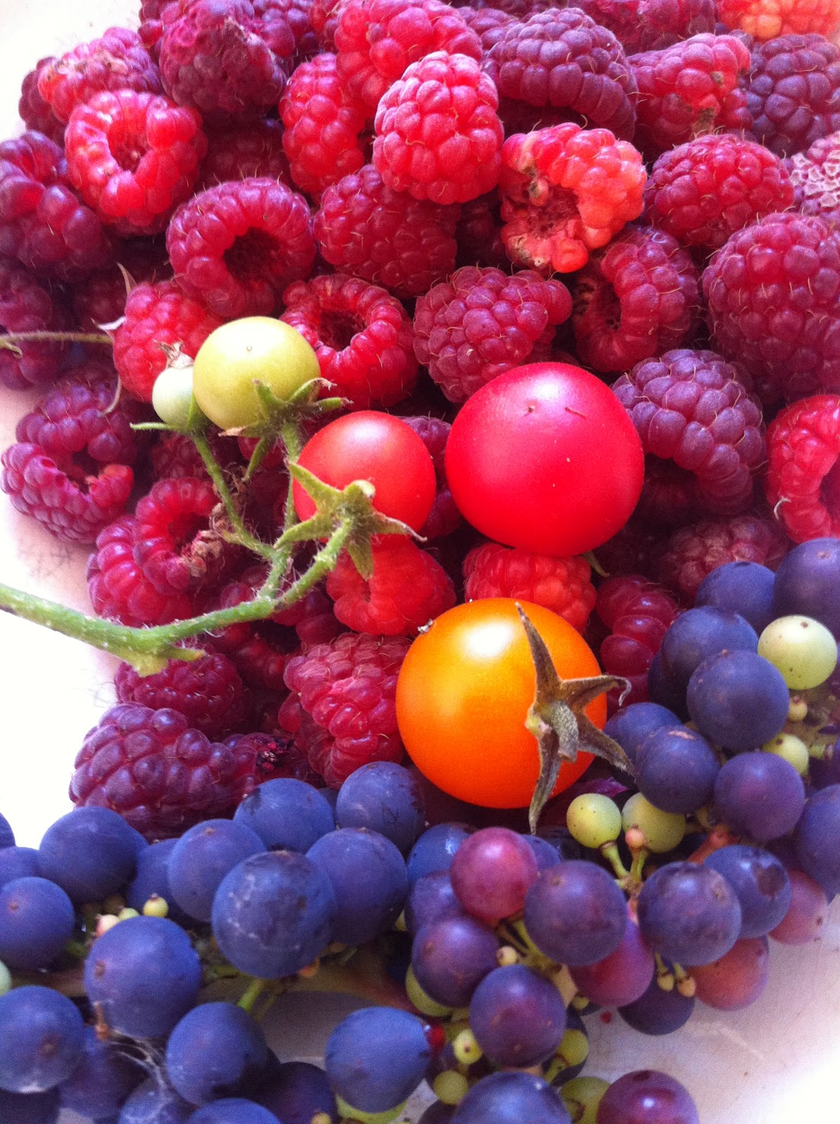 Diary of a Country Girl: Fall, fire and fruit