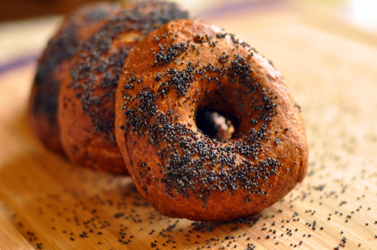 Rye Bread Bagel Recipe at Wilford Shaw blog