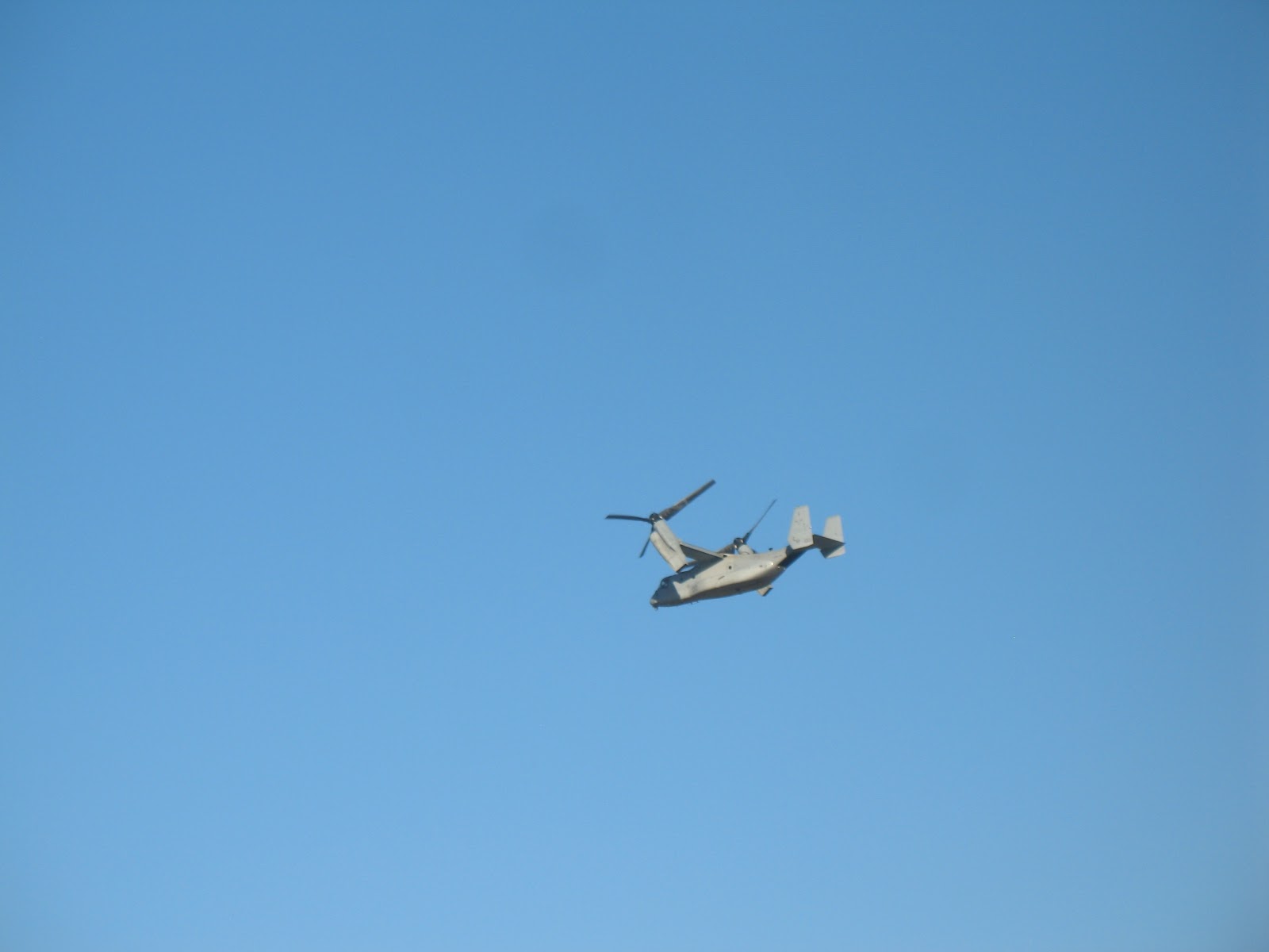 Weakened Warrior: Yuma Prison Run 50th