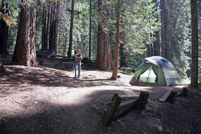 Papa's Poncho: Frazier Mills :: Mountain Home State Forest