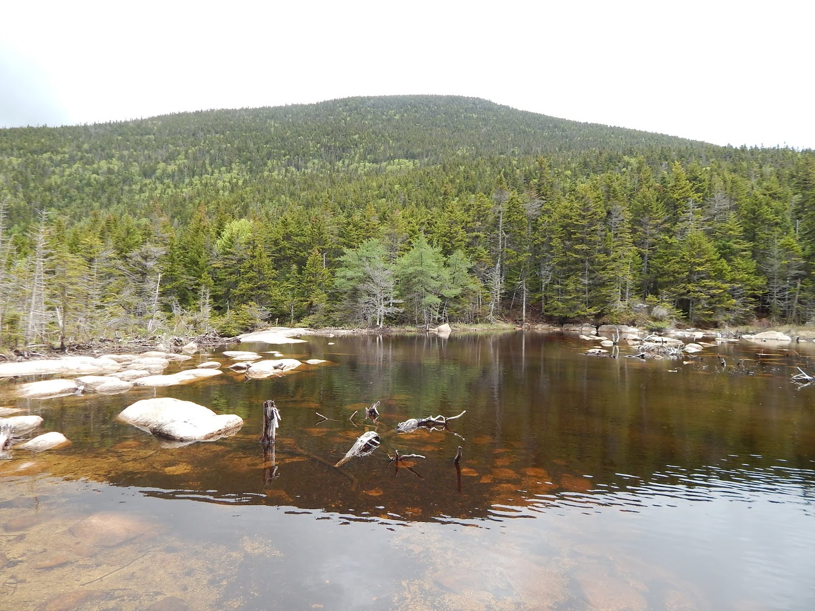 EvanHikes: Mt.Nancy, and the Nancy Pond Trail