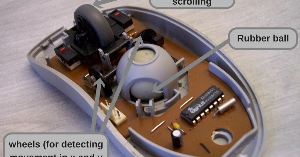 Computer Notes_All in one English and Hindi: Mouse External View