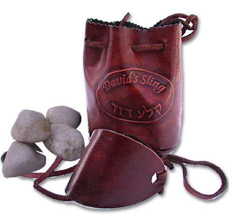 ATIVIDADES BÍBLICAS - DAVI