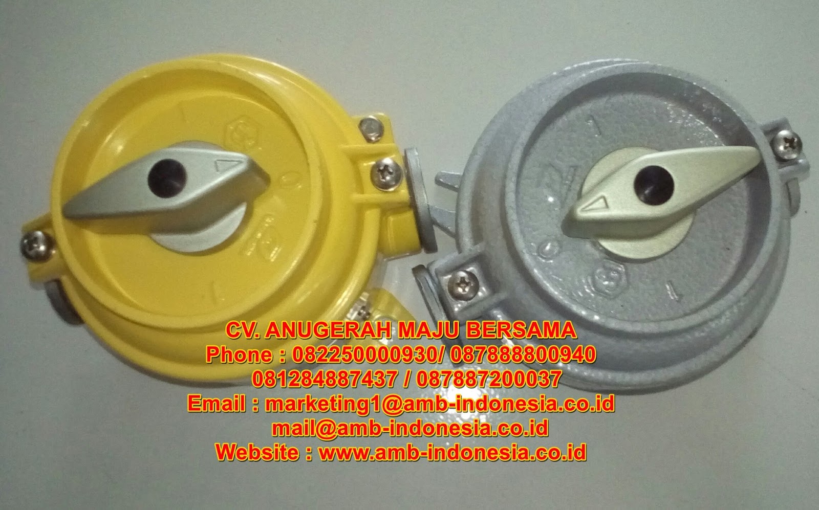 Warom Explosion Proof Electrical: Selector Switch Explosion Proof ...