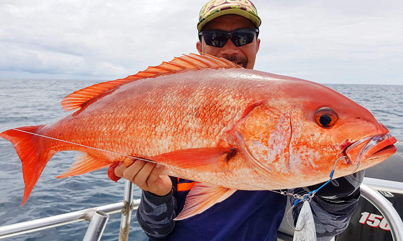 Tackle Source: THE GREENER PASTURES OF PANAMA! Part One