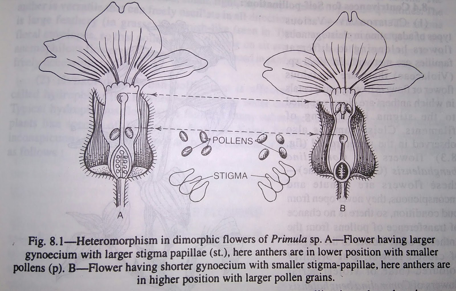 Contrivances or Devices for Cross-Pollination- digieduco