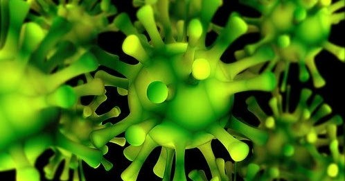 Virus informáticos: Polimórficos