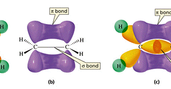 Chimica Organica "Vanvitelli": CdL Scienze Biologiche - Nomenclatura ...