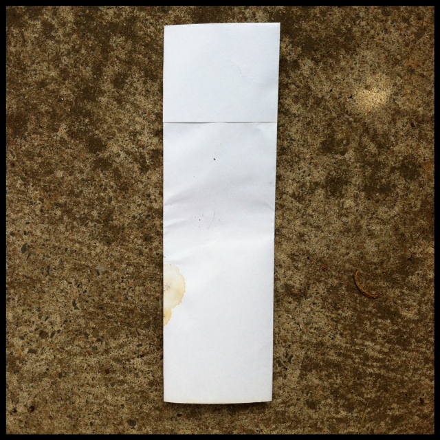 prophet of bloom: simple folded paper bag