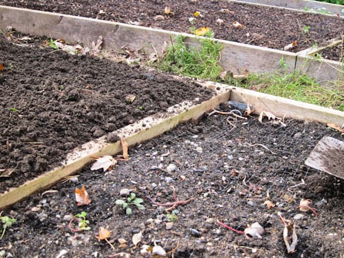 Daphne's Dandelions: Double Digging