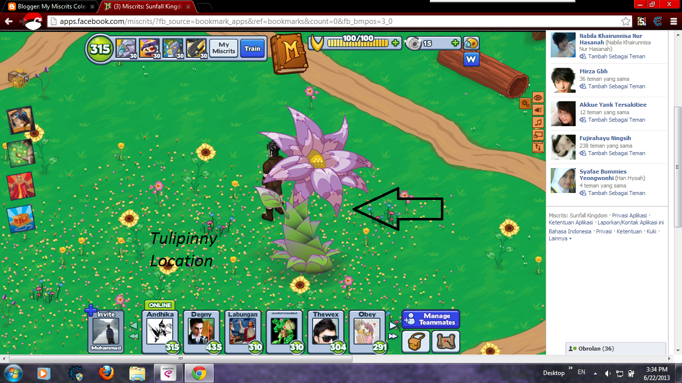 My Miscrits Colection: LOCATION ALL OF RARE MISCRITS