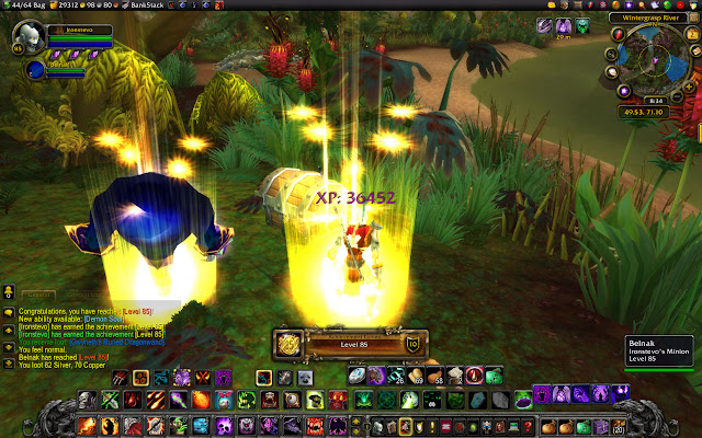 WoW Rare Spawns: Screen Shots