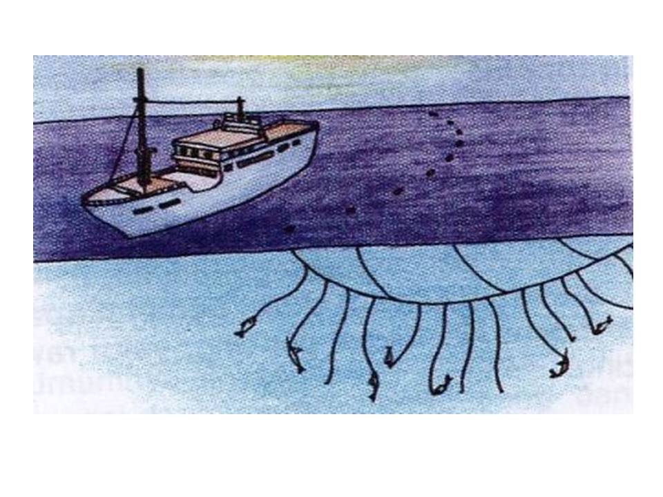 MENGENAL JENIS ALAT TANGKAP IKAN