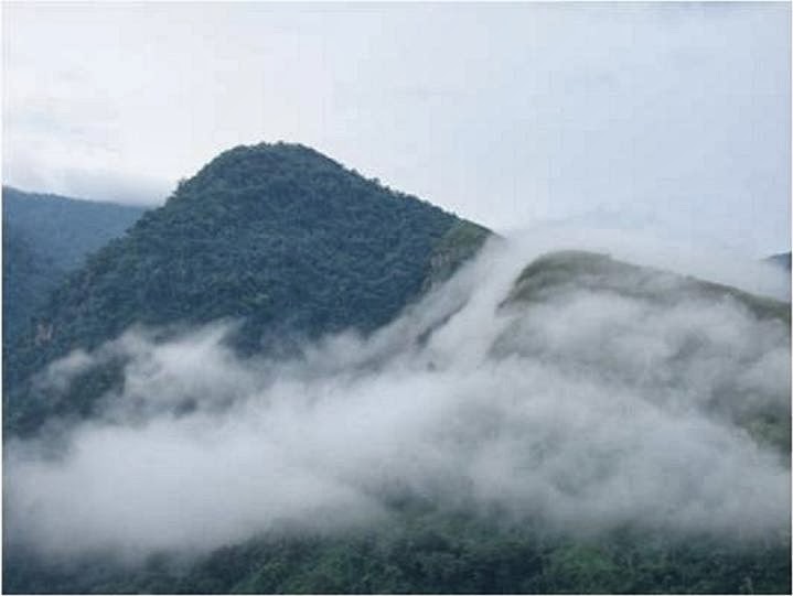 Parques nacionales de Venezuela: Parque nacional Sierra de Perijá