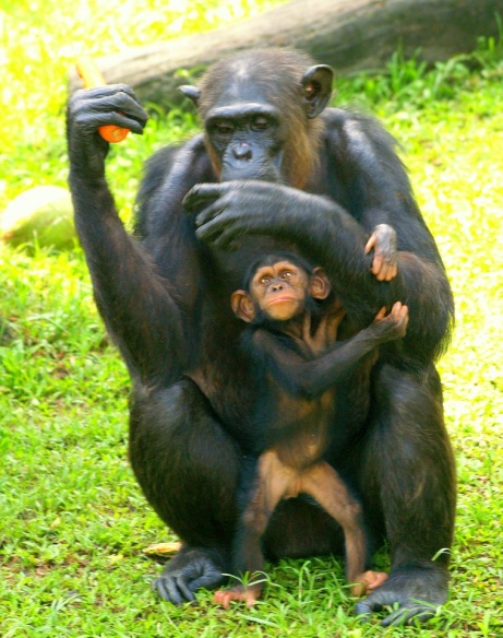 Perak Paradise...: Zoo Taiping