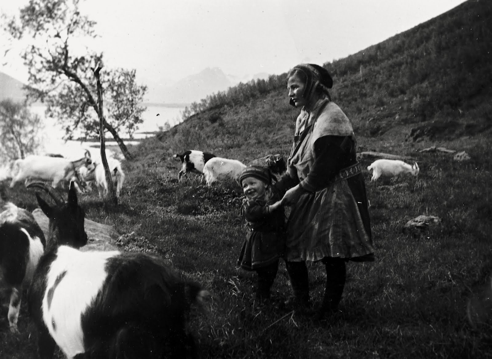 *The Saami - Samisk - Sámi*