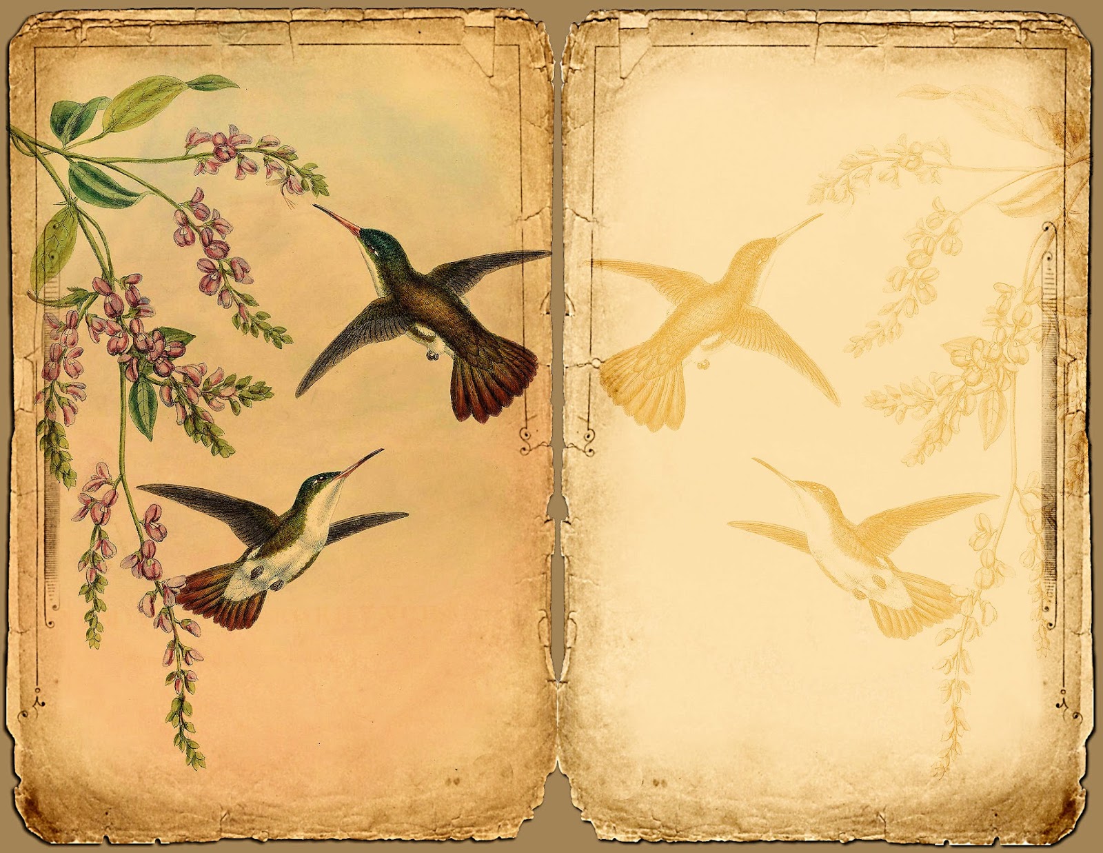 Create with TLC: New Printable Kit, HummingBirds Song....