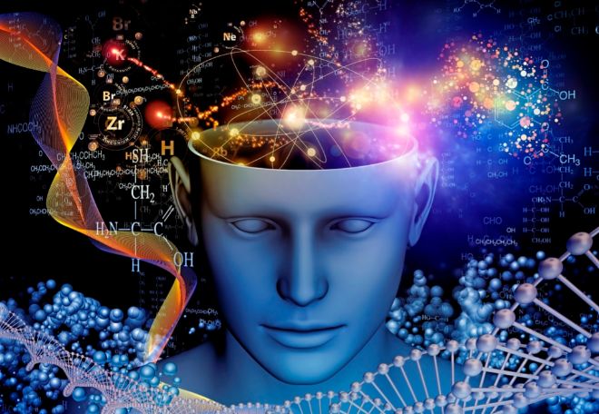 Stem Cell: ¿Donde está el origen de la inteligencia humana?