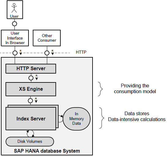 Autodidact: XS Engine Introduction