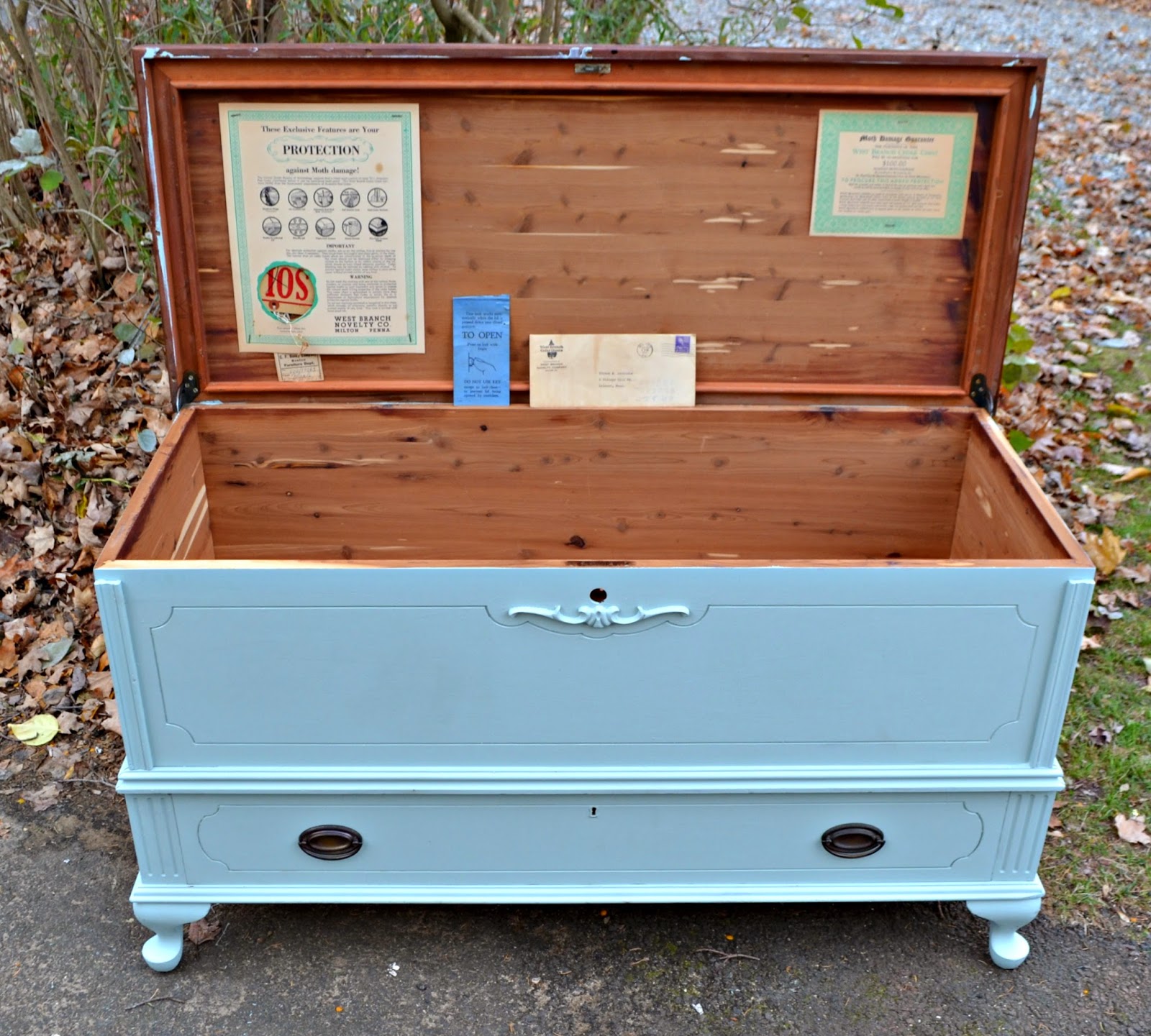 Heir and Space: An Antique Cedar Chest in Ice Blue