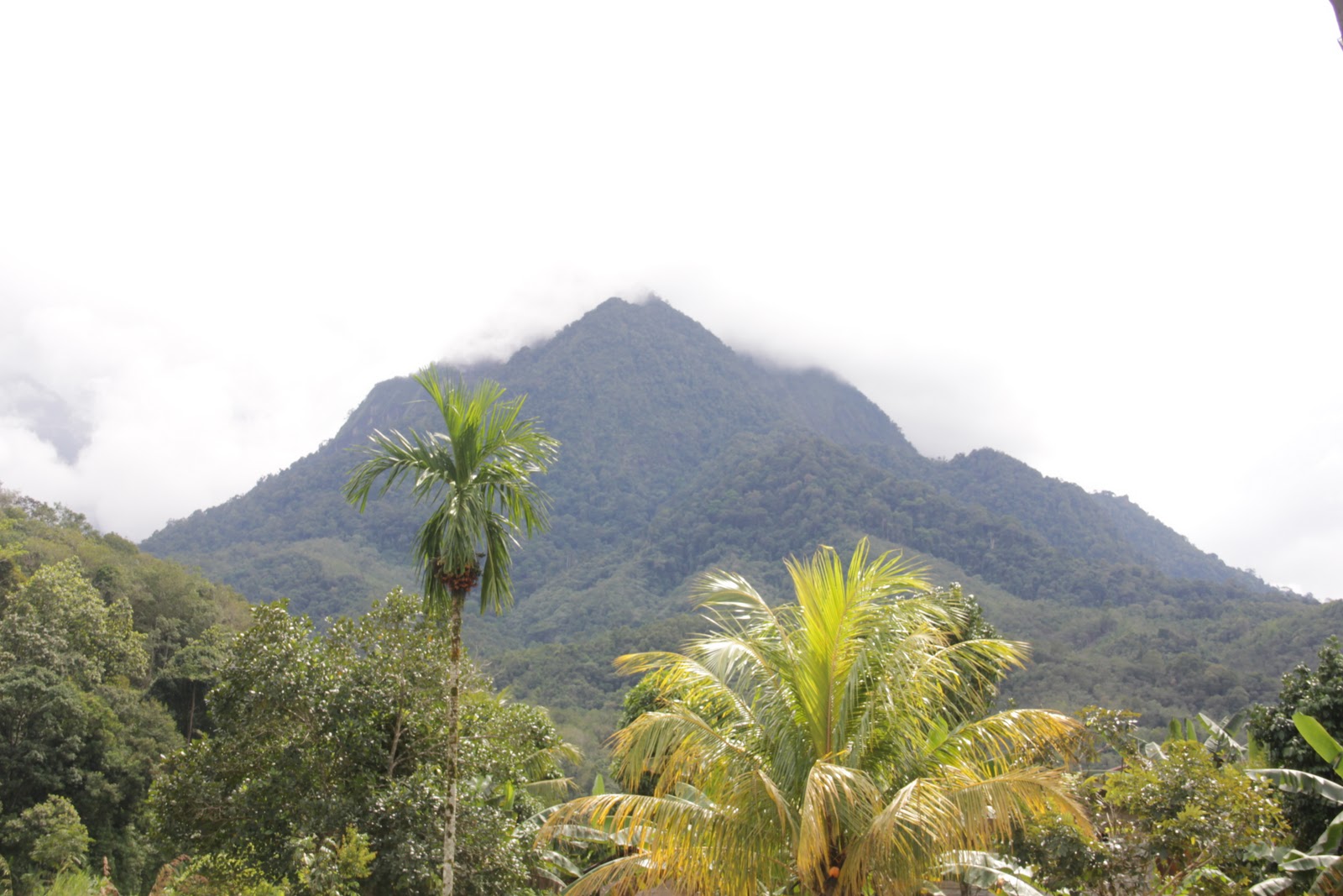 Tamparuli Sabah: December 2011