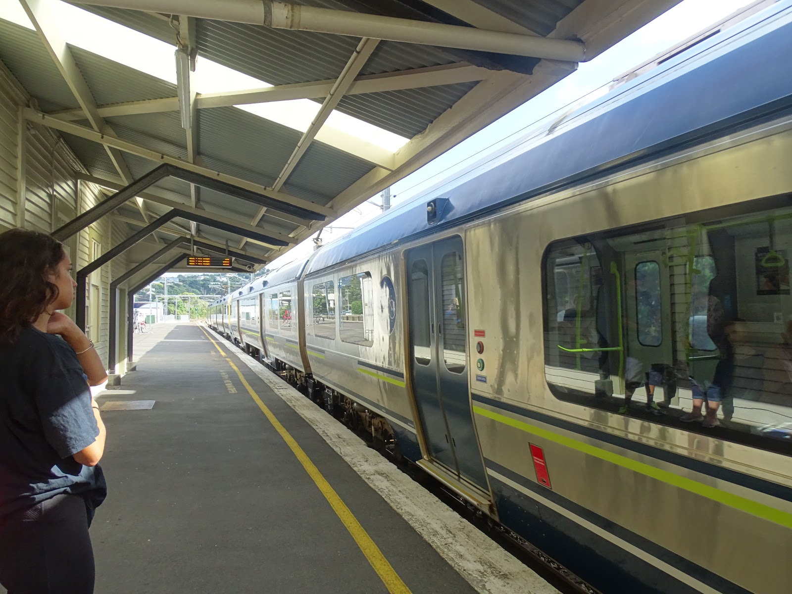 over the hill: Wellington Train Trip
