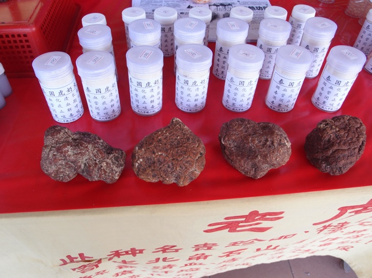 Xing Fu: CHINESE TRADITIONAL MEDICINE: TIGER MILK MUSHROOM