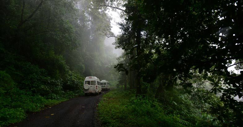 Gavi - (Eco-Tourism) Town of Kerala