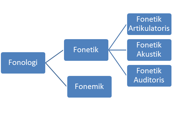 FONOLOGI DAN BIDANG PEMBAHASANNYA – Arabiyatuna