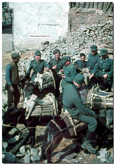 HISTORY IN IMAGES: Pictures Of War, History , WW2: German Soldiers ...