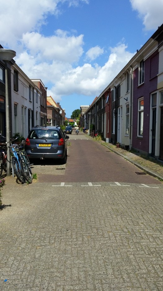 2015 Delft Study Abroad: Sustainable transportation in the Netherlands ...