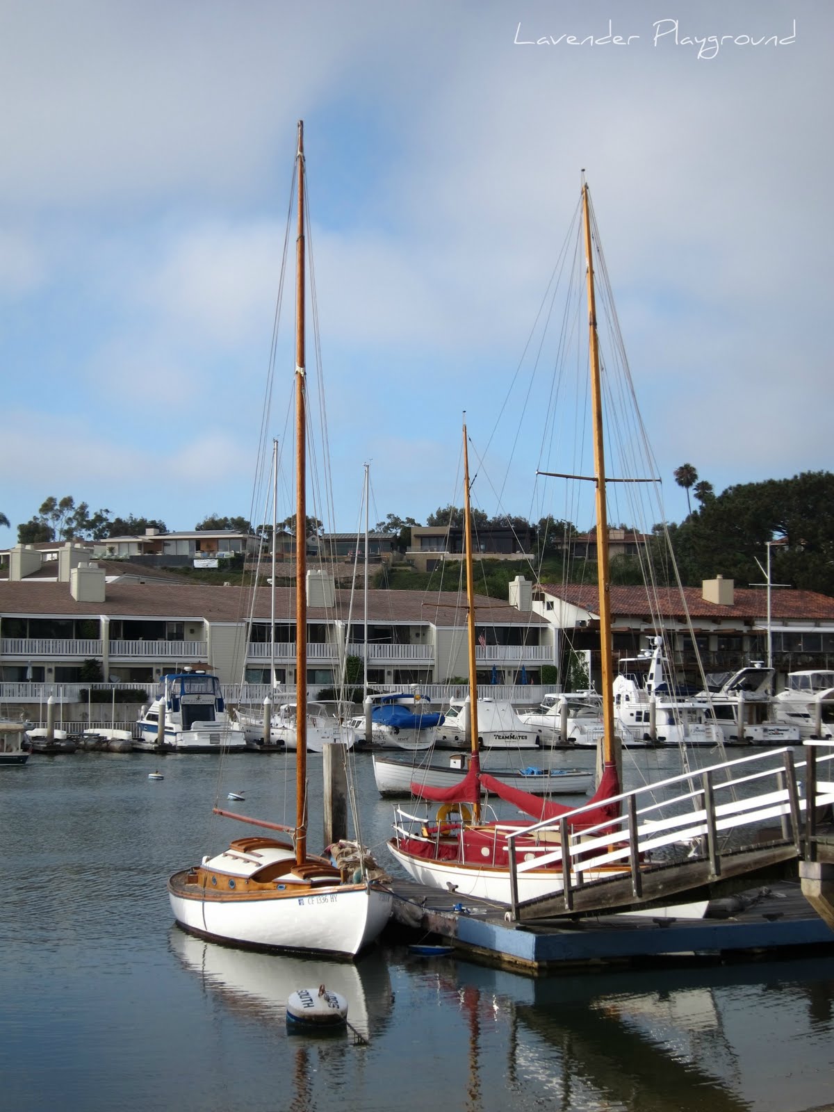 Lavender Playground: Balboa Island