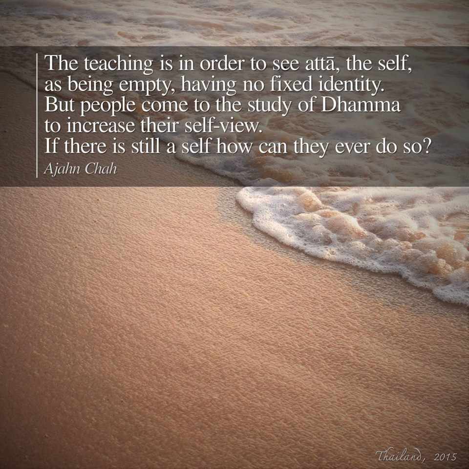 Dharma Companions @SABS: Wrong understanding