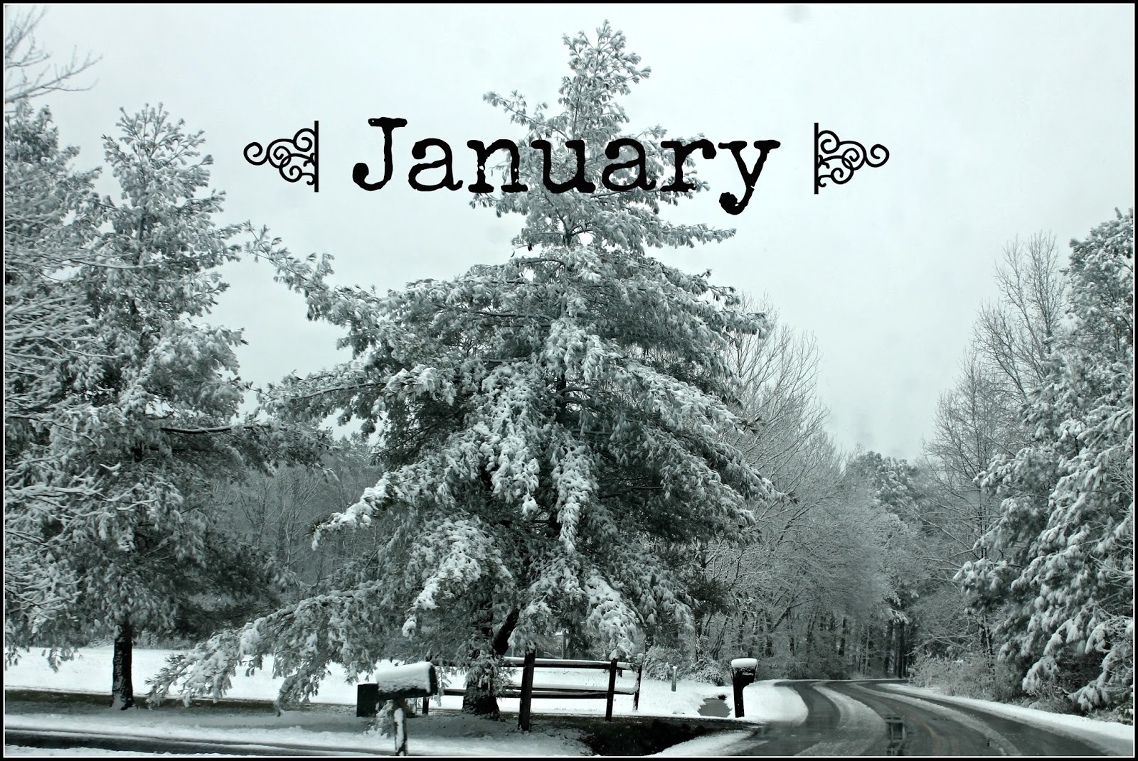 Thinking About Home: Gathering the Moments | January