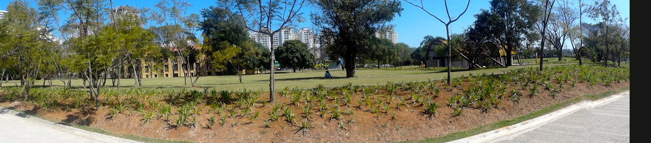 Parque Belém ou Manoel Pitta em São Paulo ~ Áreas Verdes das Cidades ...