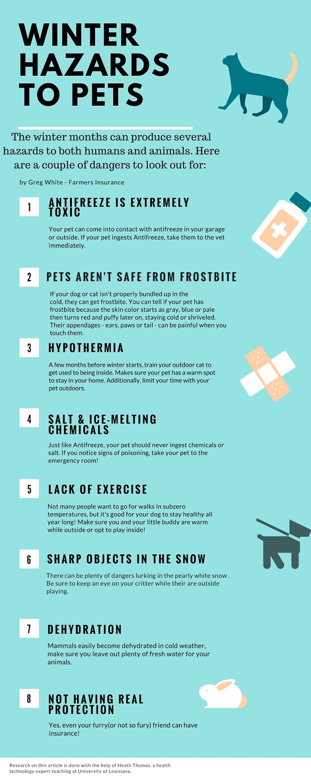 Winter Pet Safety 101: An information Graphic