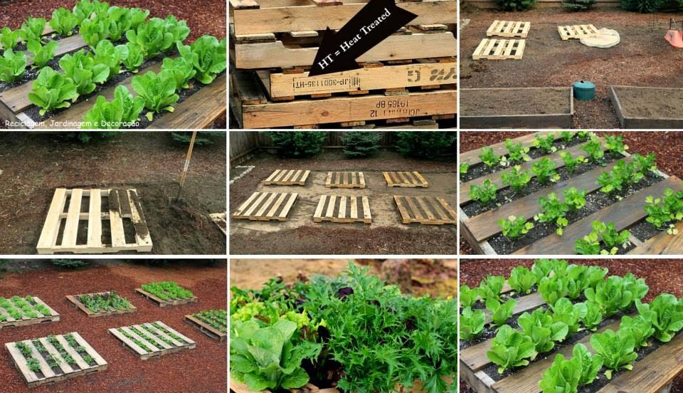 Din gradina,: Idei de ghivece