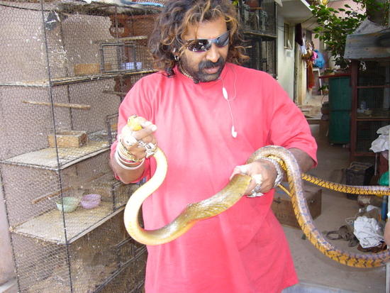 Snake Shyam : Snake Enthusiast, Wildlife Conservationist & Lecturer ...