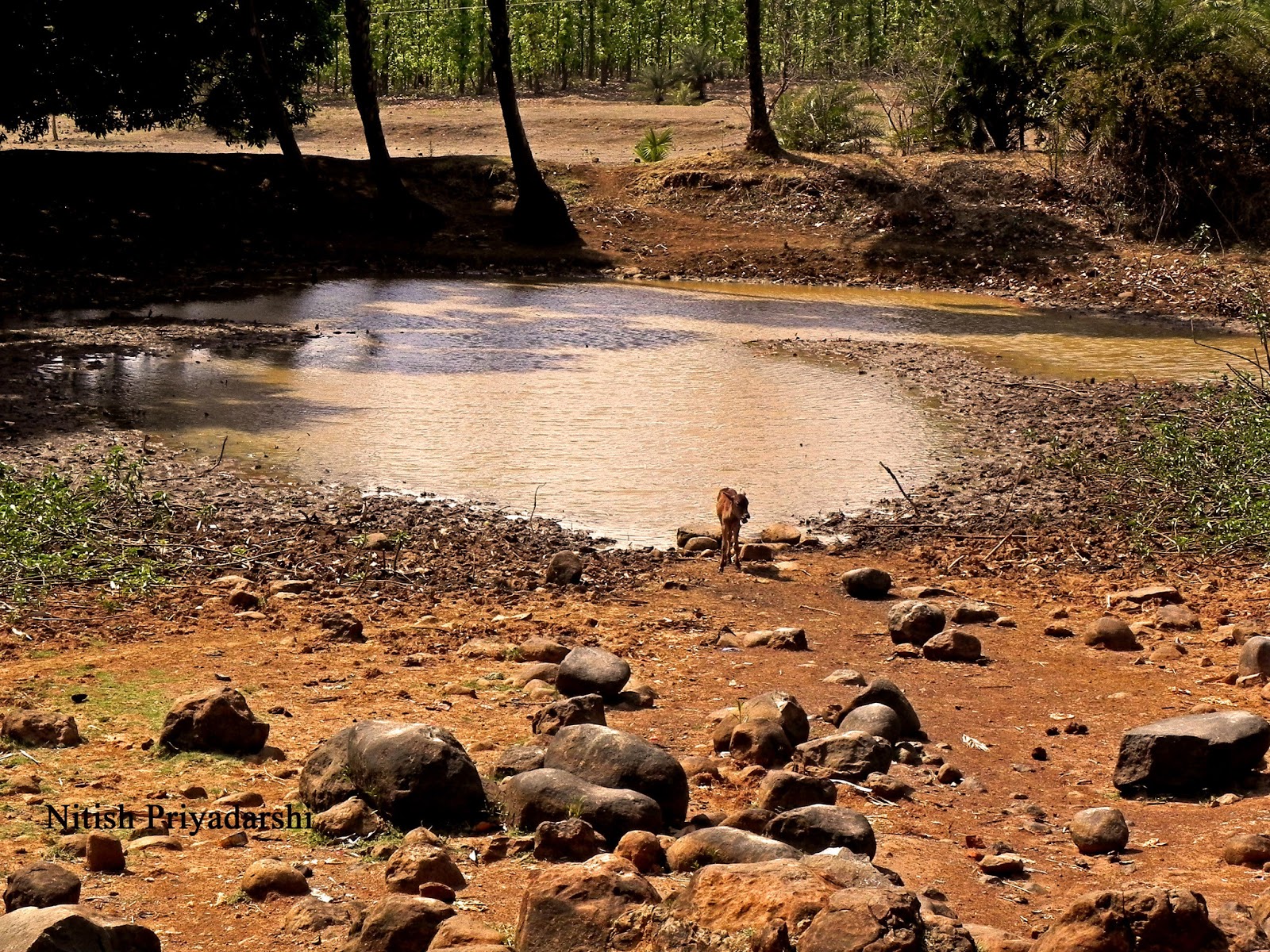 Environment and Geology: Impact of climate change on livelihood of the ...