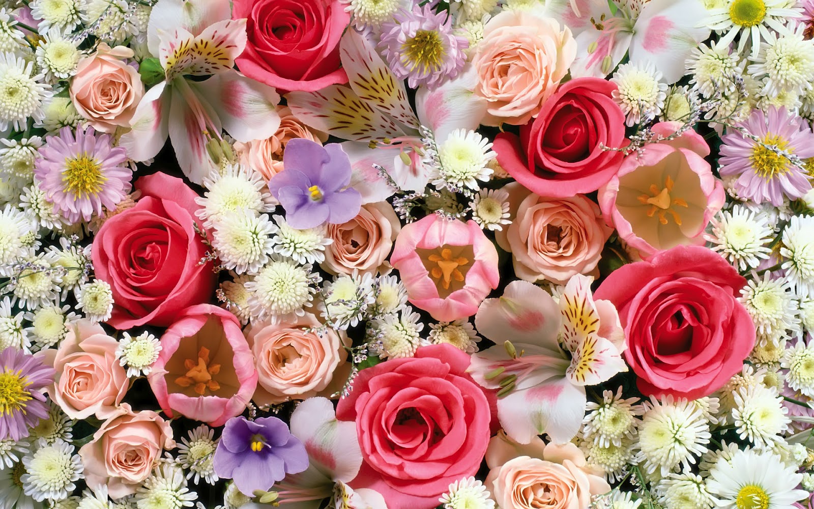 Bloemen Wallpapers | HD Wallpapers