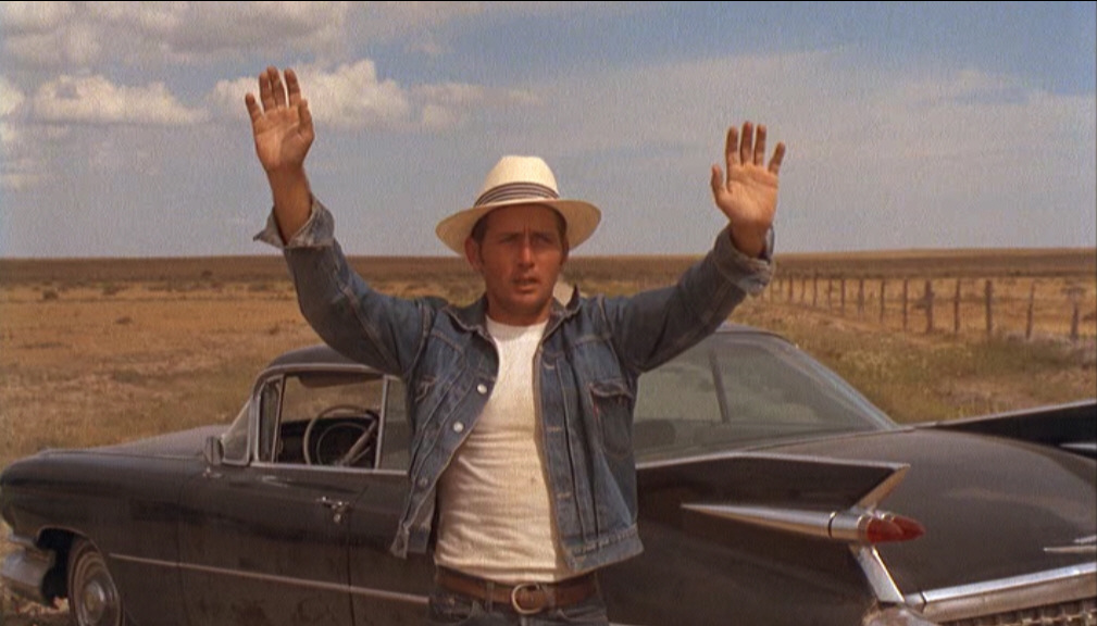 Radiator Heaven: DVD of the Week: Badlands: Criterion Collection